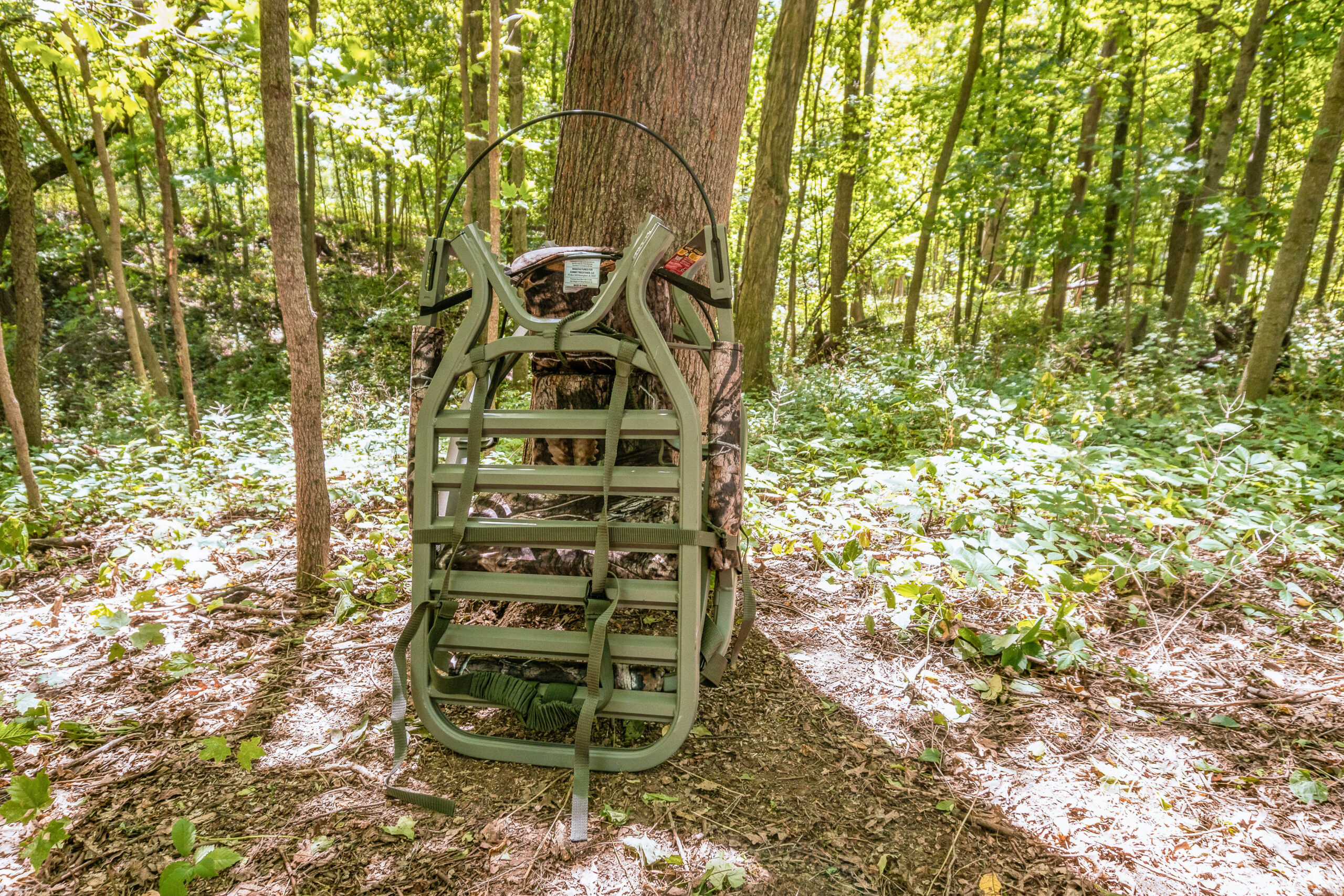 Best Tree Stands of 2023, Tested and Reviewed | Outdoor Life