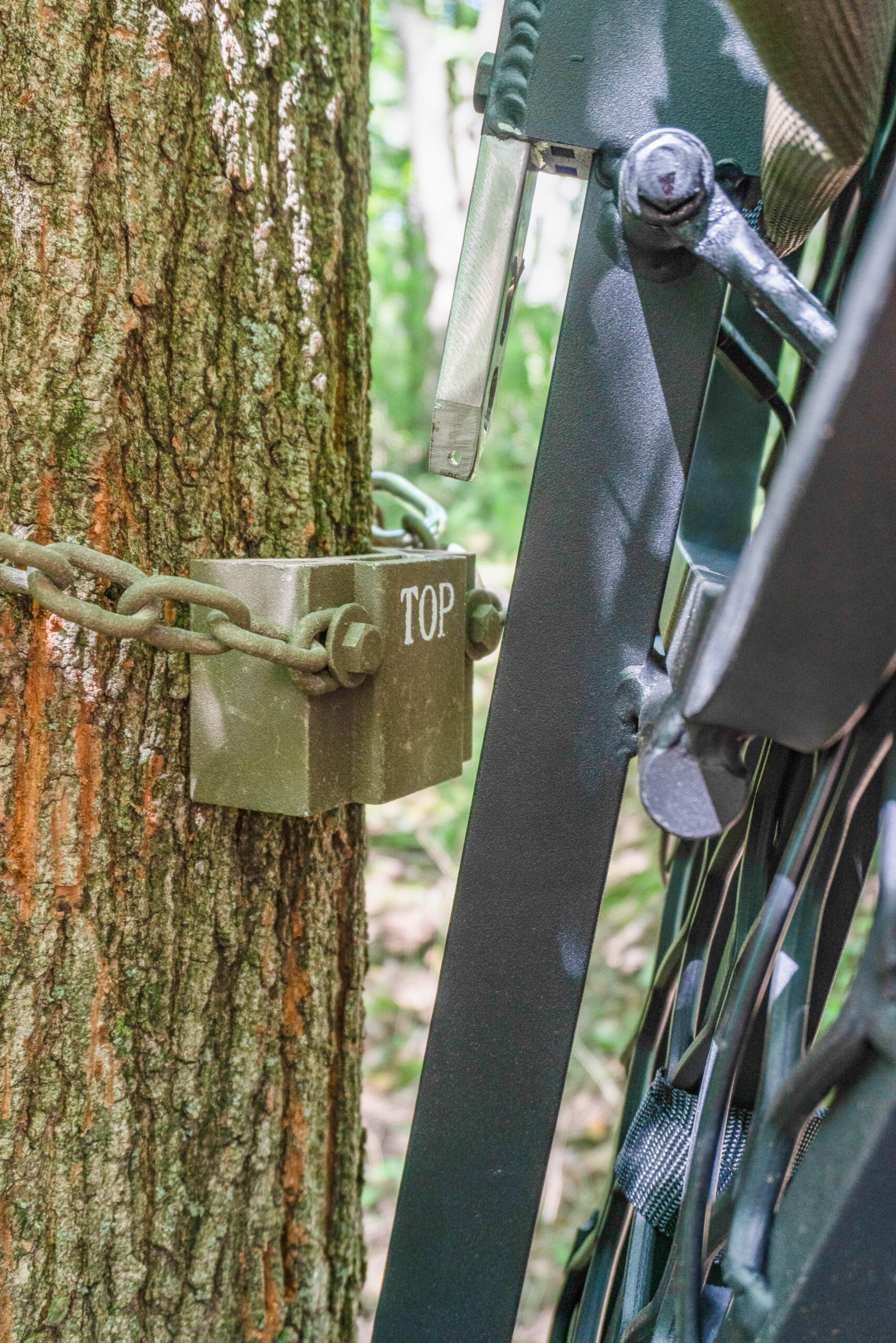 Best Tree Stands of 2023, Tested and Reviewed | Outdoor Life