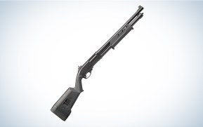 Best Home Defense Shotguns of 2024, According to Experts