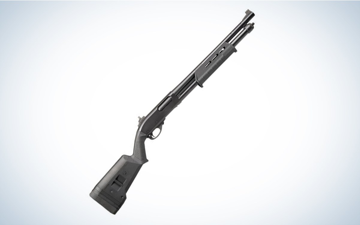 Best Home Defense Shotguns of 2024, According to Experts