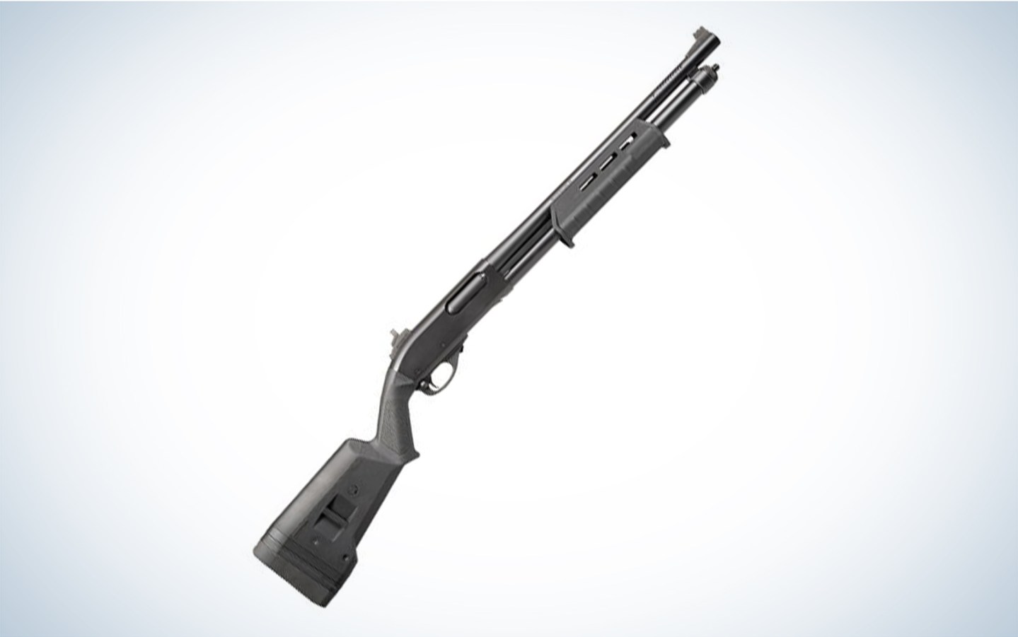 Best Home Defense Shotguns of 2024, According to Experts