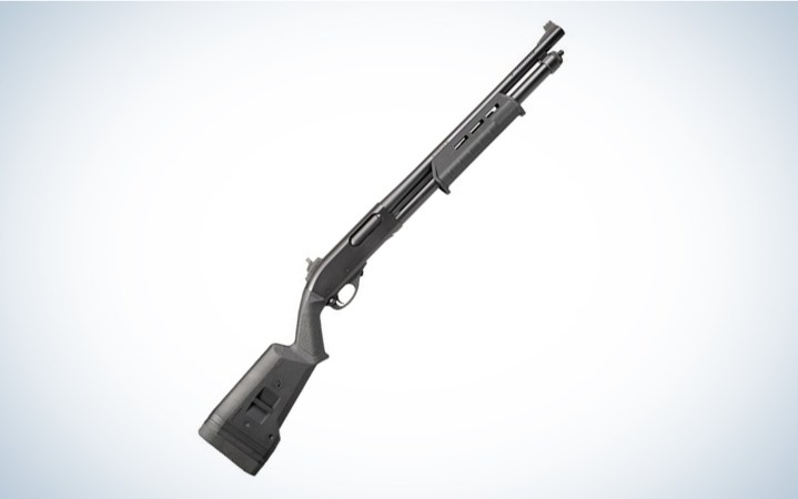 Best Home Defense Shotguns of 2024, According to Experts