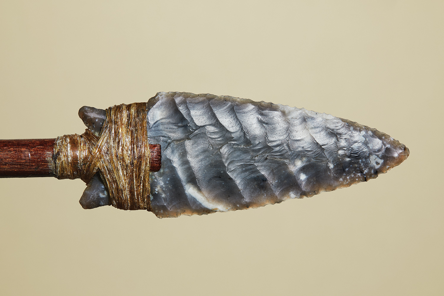 Hunting Grizzlies with a Longbow and Stone-Point Arrowhead | Outdoor Life