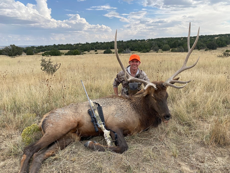 Elk Hunting Tips and Tactics | Outdoor Life
