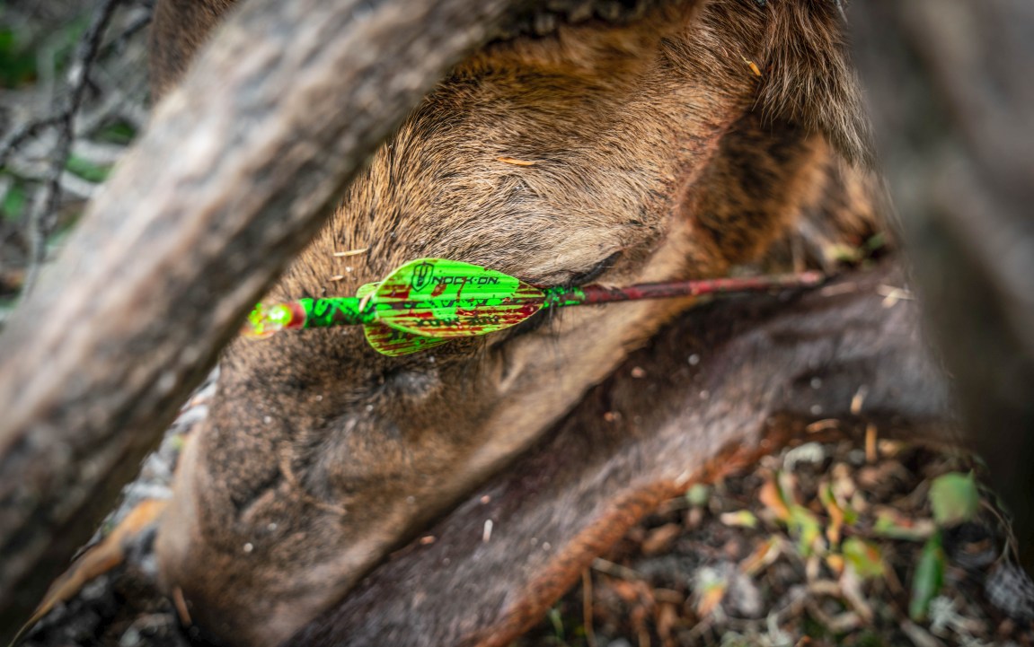 The Best Broadheads for Elk of 2026 | Outdoor Life