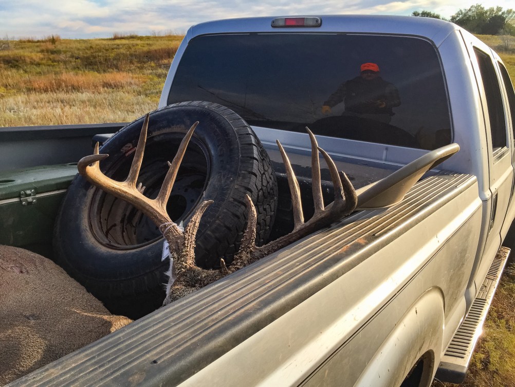 Viral Articles Falsely Suggest Chronic Wasting Disease Jumped to Humans