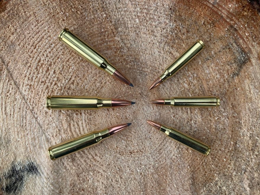 .308 Winchester vs 5.56 NATO | Outdoor Life