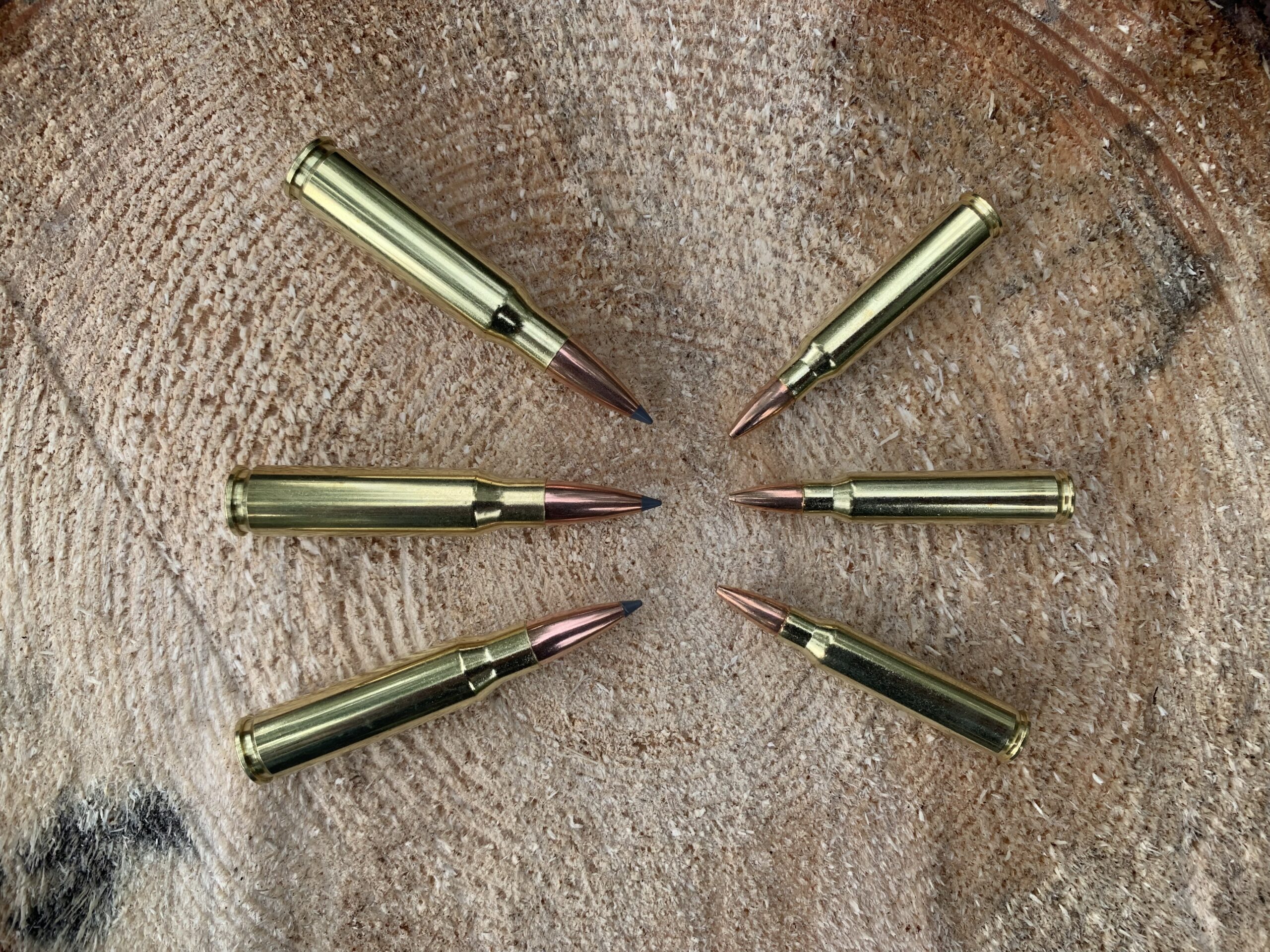 .308 Winchester vs 5.56 NATO | Outdoor Life