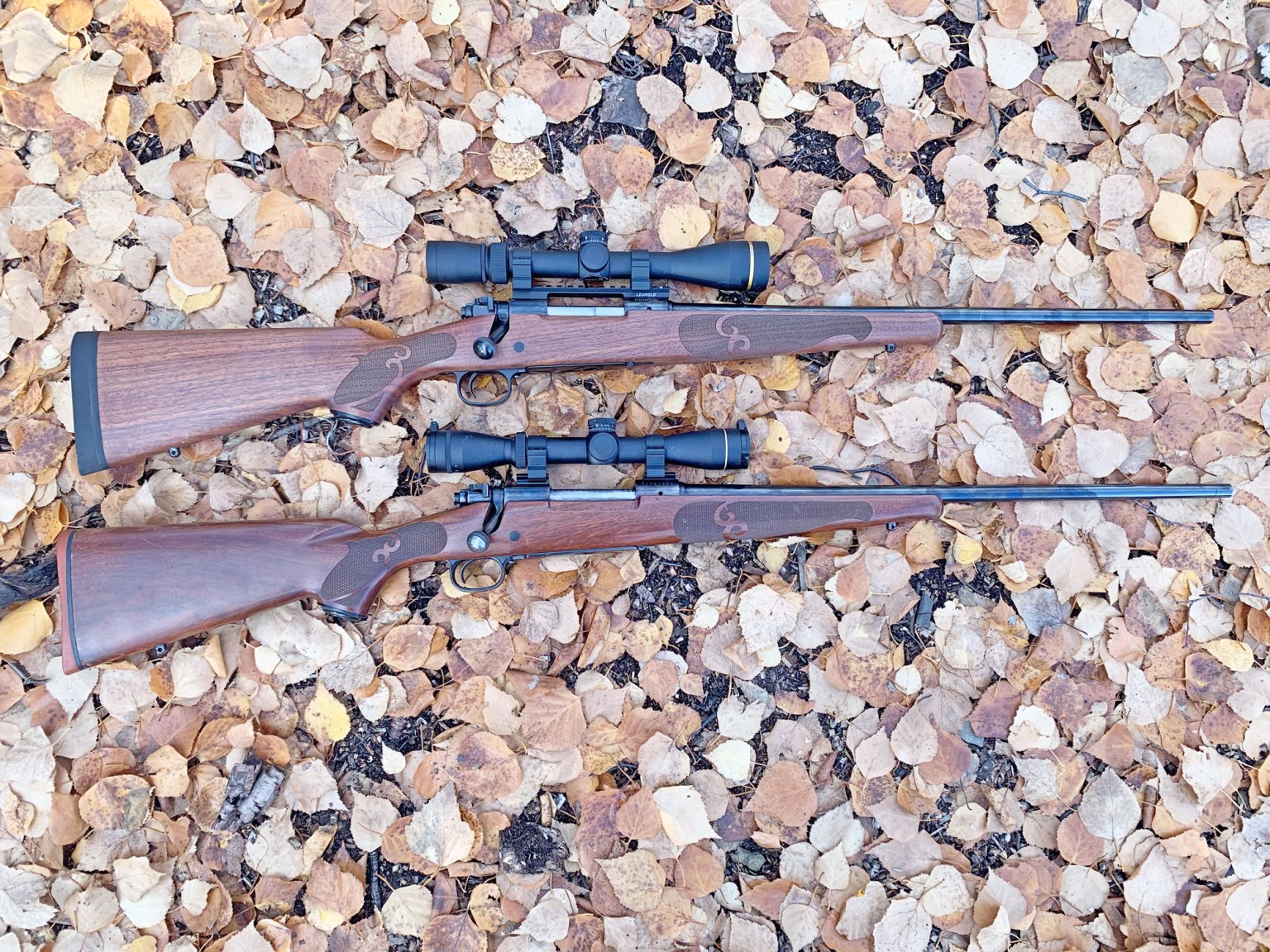 .270 vs .308 | Outdoor Life