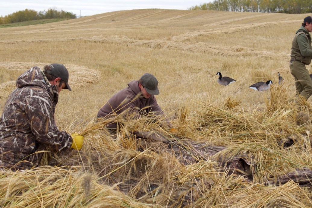 The Best Layout Blinds of 2025 | Outdoor Life