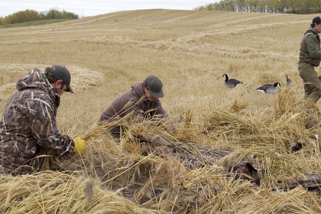 The Best Layout Blinds of 2024 | Outdoor Life