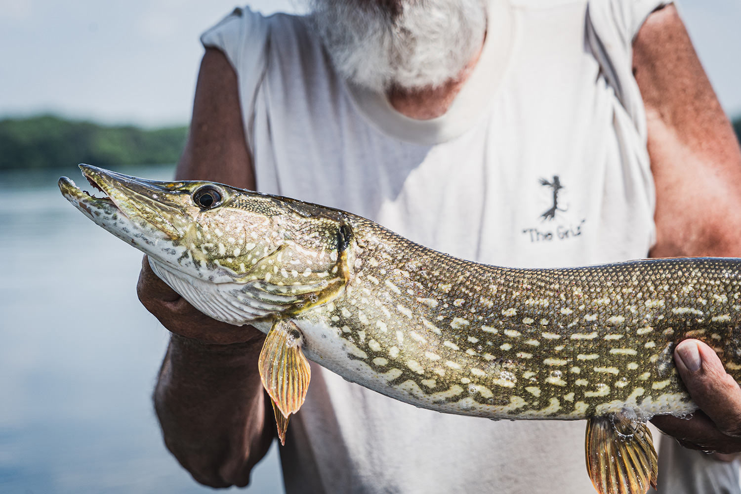 Lessons from the Griz, the Last Great Fishing Legend of the North ...