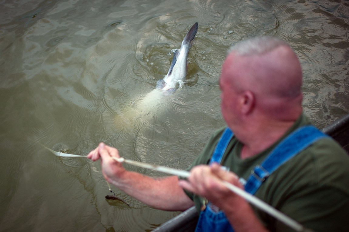 24 Fascinating Photos of Catfish Trotlining, a Dying Art in the South