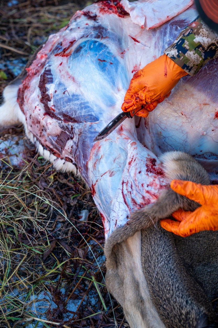How to Skin a Deer | Outdoor Life