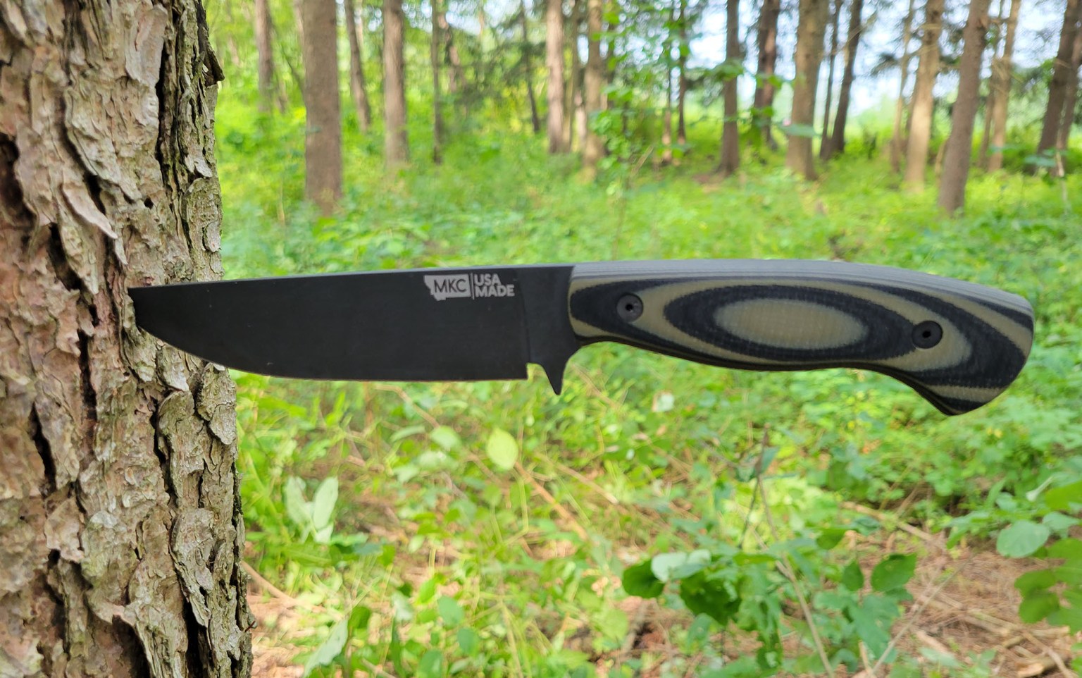 Best Fixed Blade Knives of 2025, Tested and Reviewed