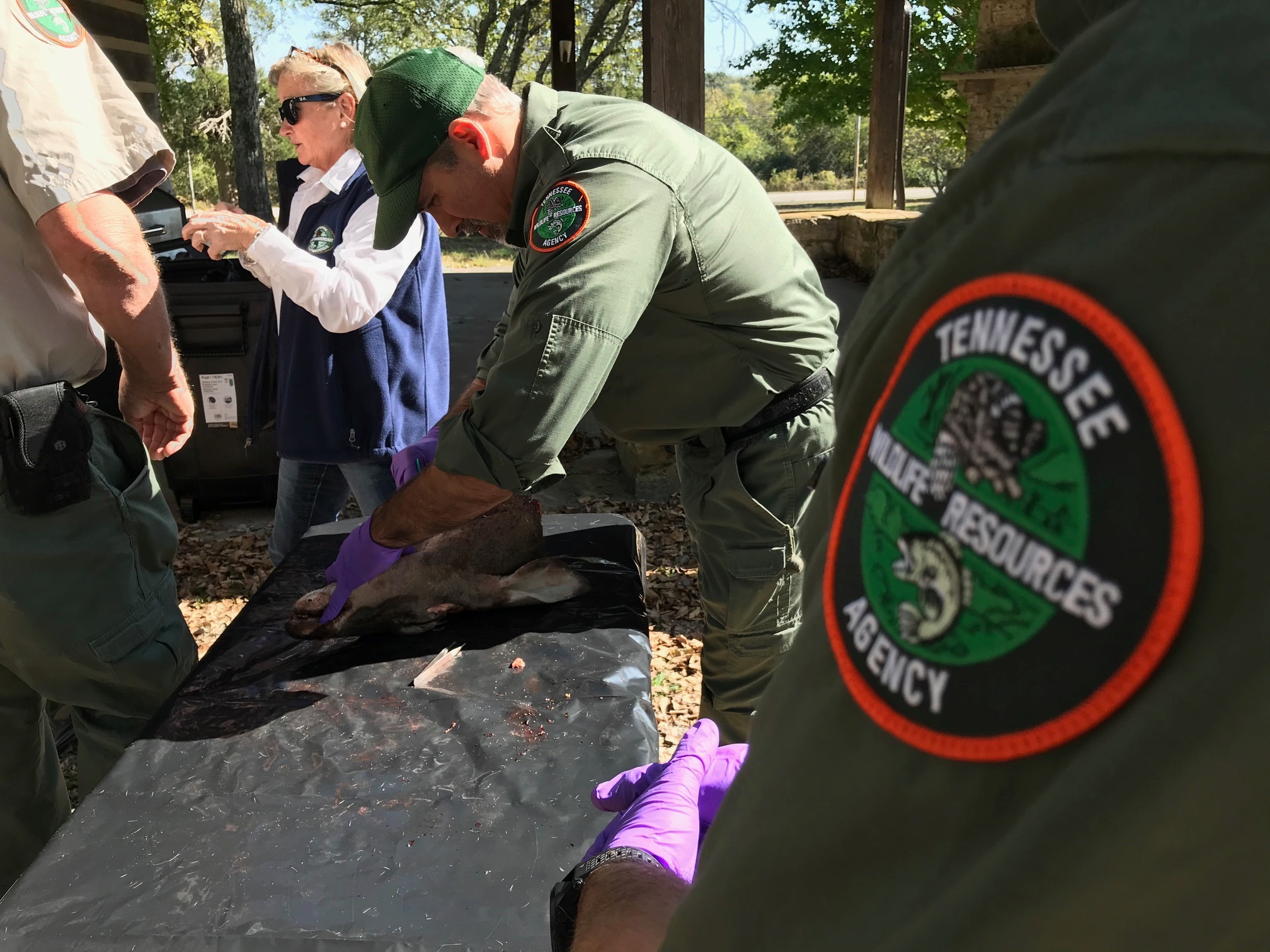 Deer Biologist Accuses Tennessee of Knowingly Inflating CWD Cases ...