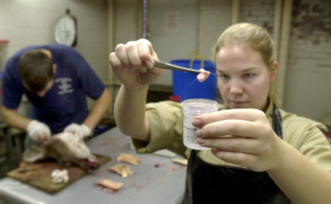 Oklahoma Plans to Combat CWD by Releasing Captive-Bred Deer into the ...