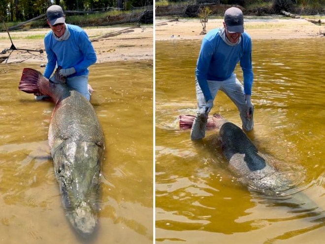 Angler Catches 200-Pound Snapping Turtle, Then Lands World Record Gar