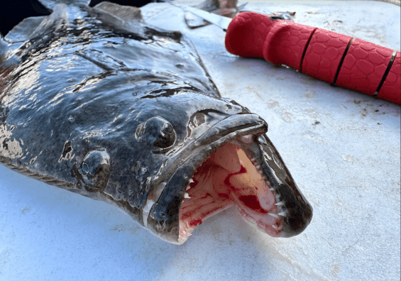 How to Fillet a Fish | Outdoor Life