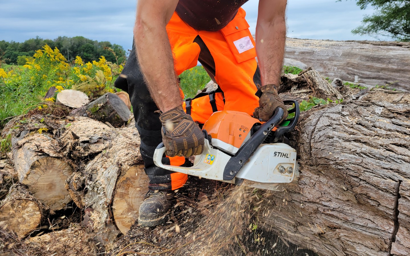 The Best Chainsaw Chaps of 2026, Tested and Reviewed
