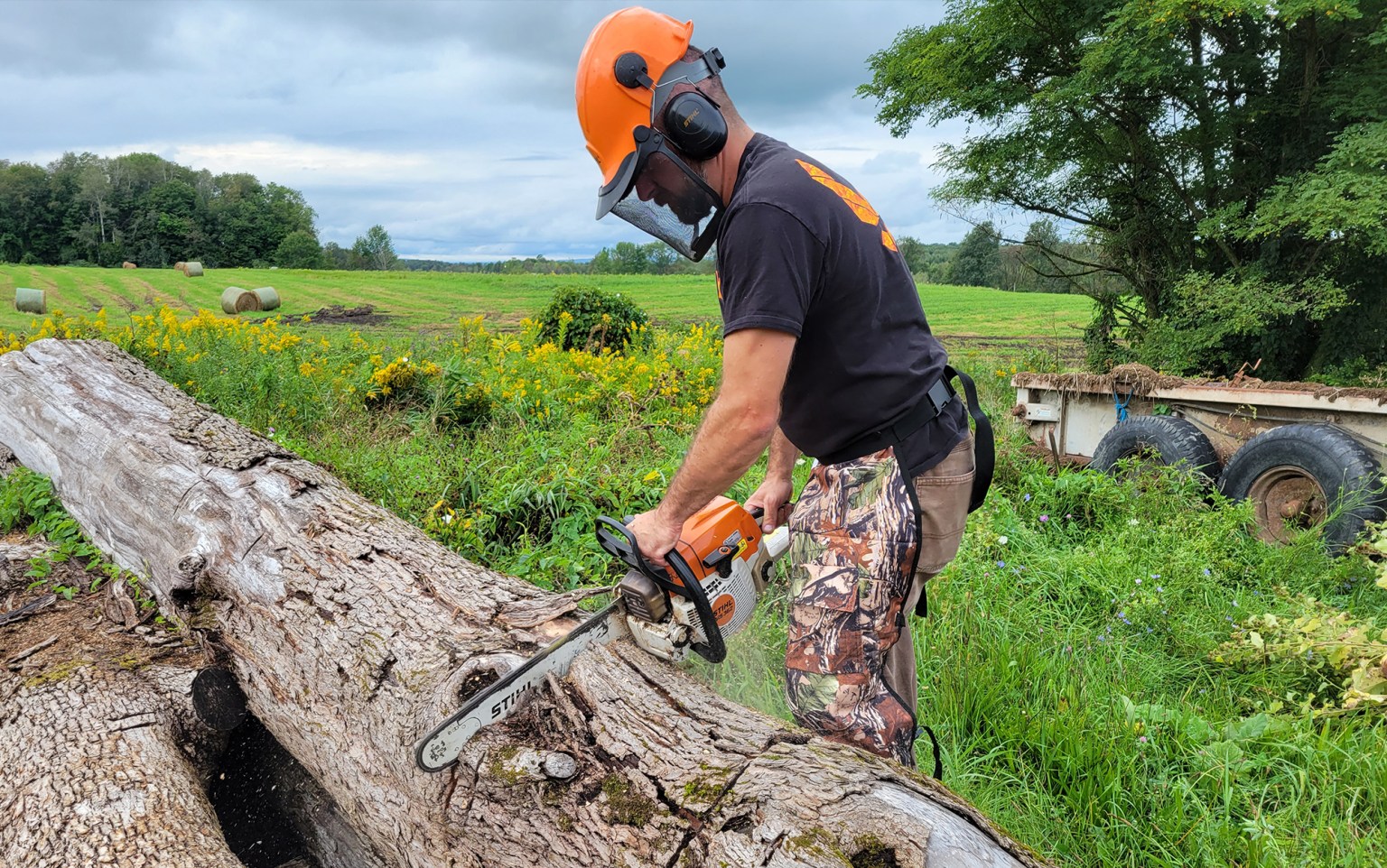 The Best Chainsaw Chaps of 2025, Tested and Reviewed