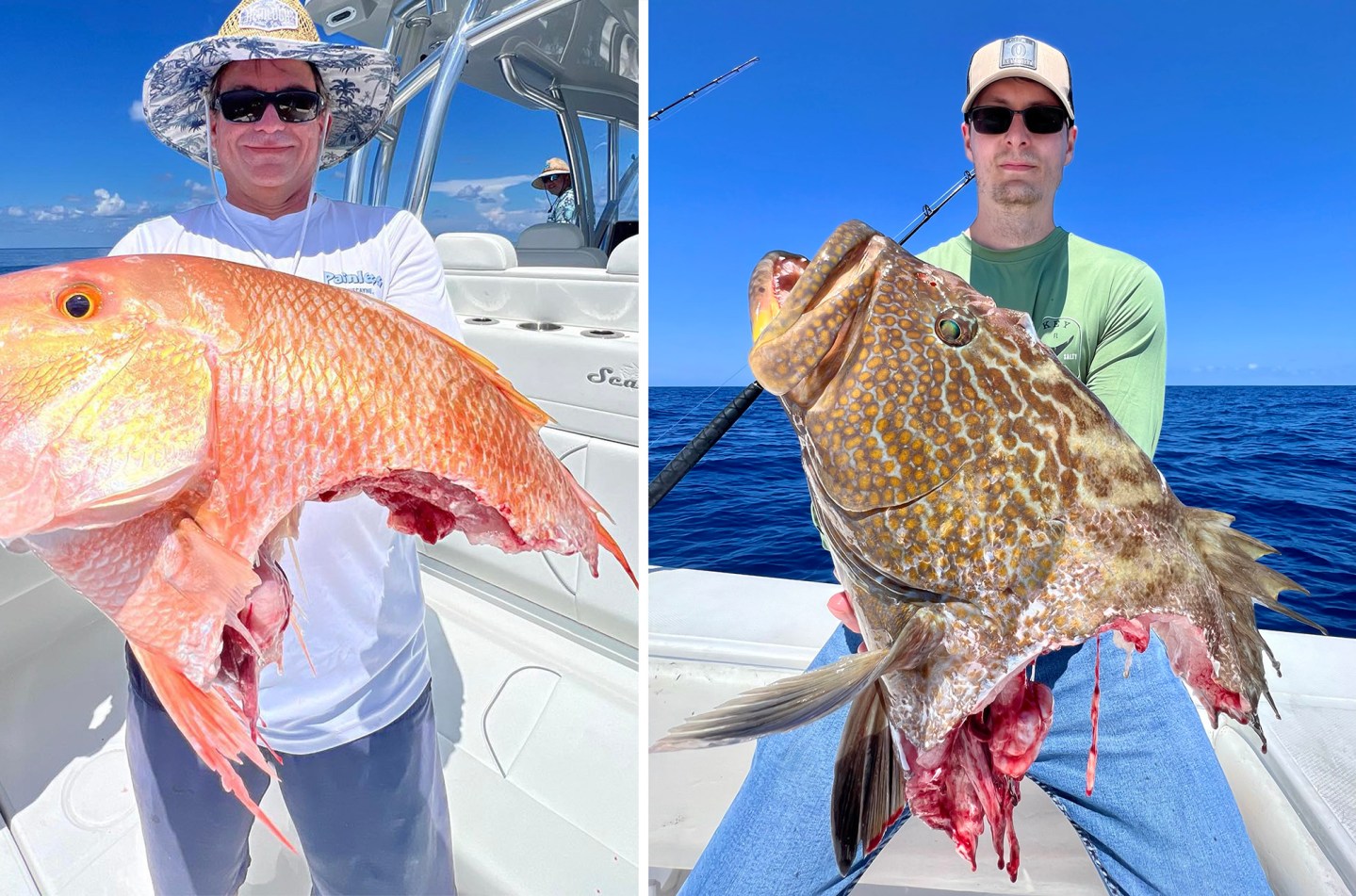 Shark Eats What Could Have Been the New World-Record Red Snapper ...