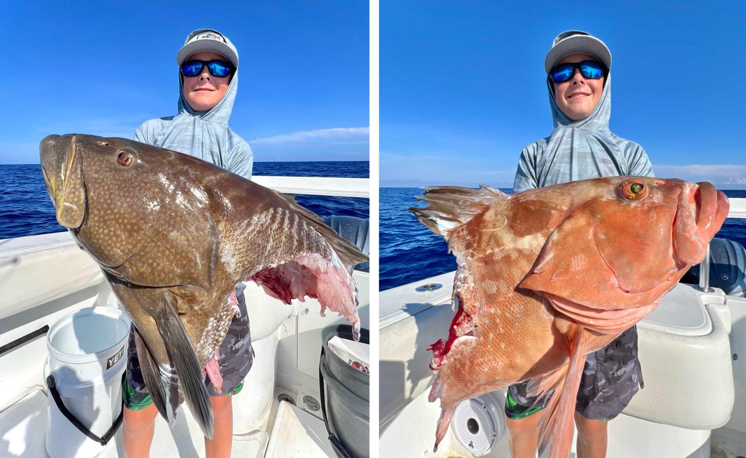 Shark Eats What Could Have Been the New World-Record Red Snapper ...