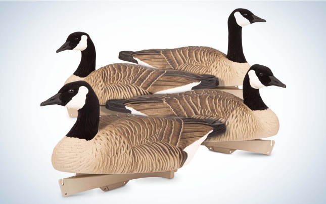 Best Goose Decoys of 2024 | Outdoor Life