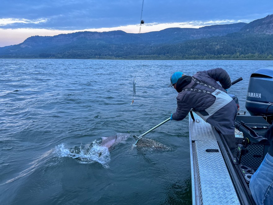 Walmart Now Delivering Live Bait Directly to Your Door | Outdoor Life