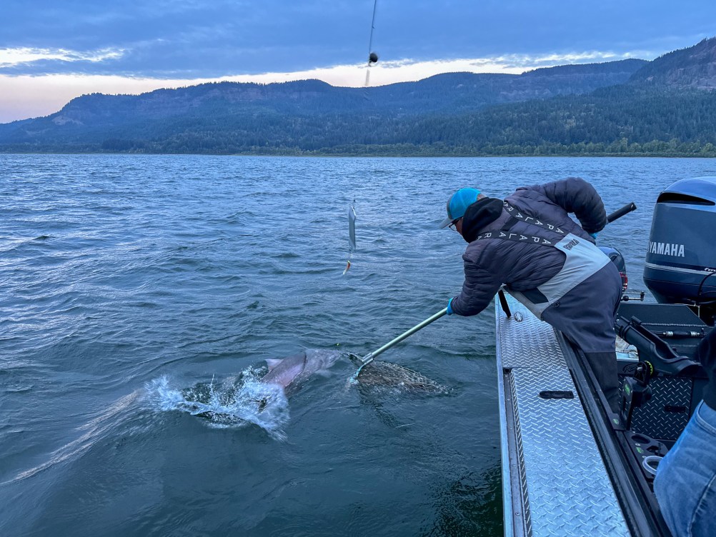 3 Classic Striper Surf Lures You Should Be Throwing Right Now | Outdoor ...