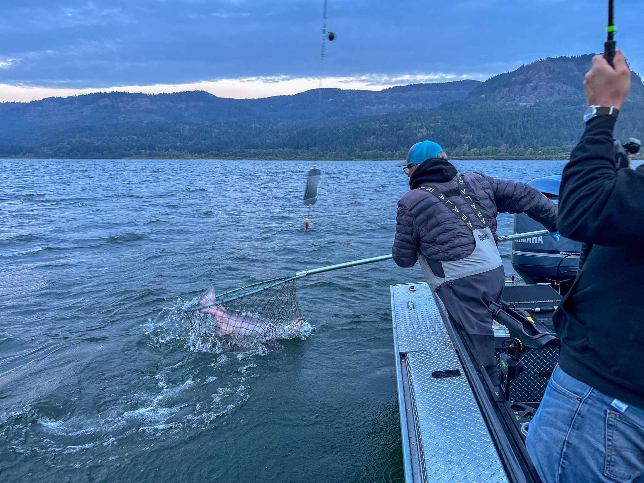 How to Correctly Net Trophy Fish | Outdoor Life