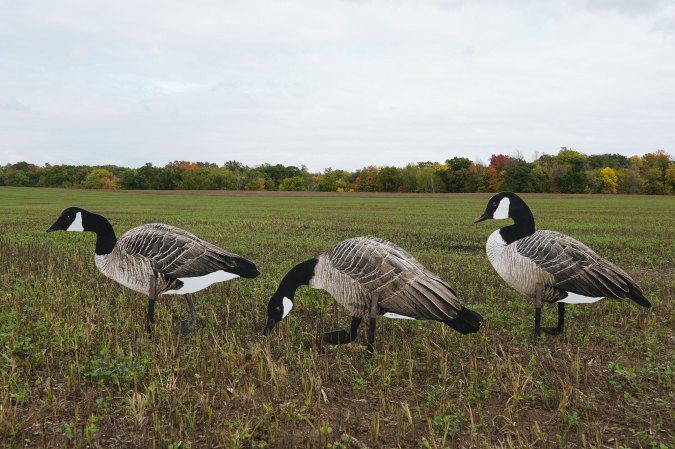 Best Goose Decoys of 2024 | Outdoor Life
