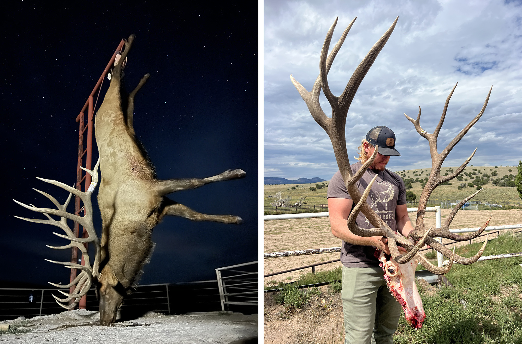 This Huge New Mexico Bull Could Be an Archery State Record | Outdoor Life