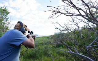 Best LPVO Riflescopes, Tested and Reviewed | Outdoor Life