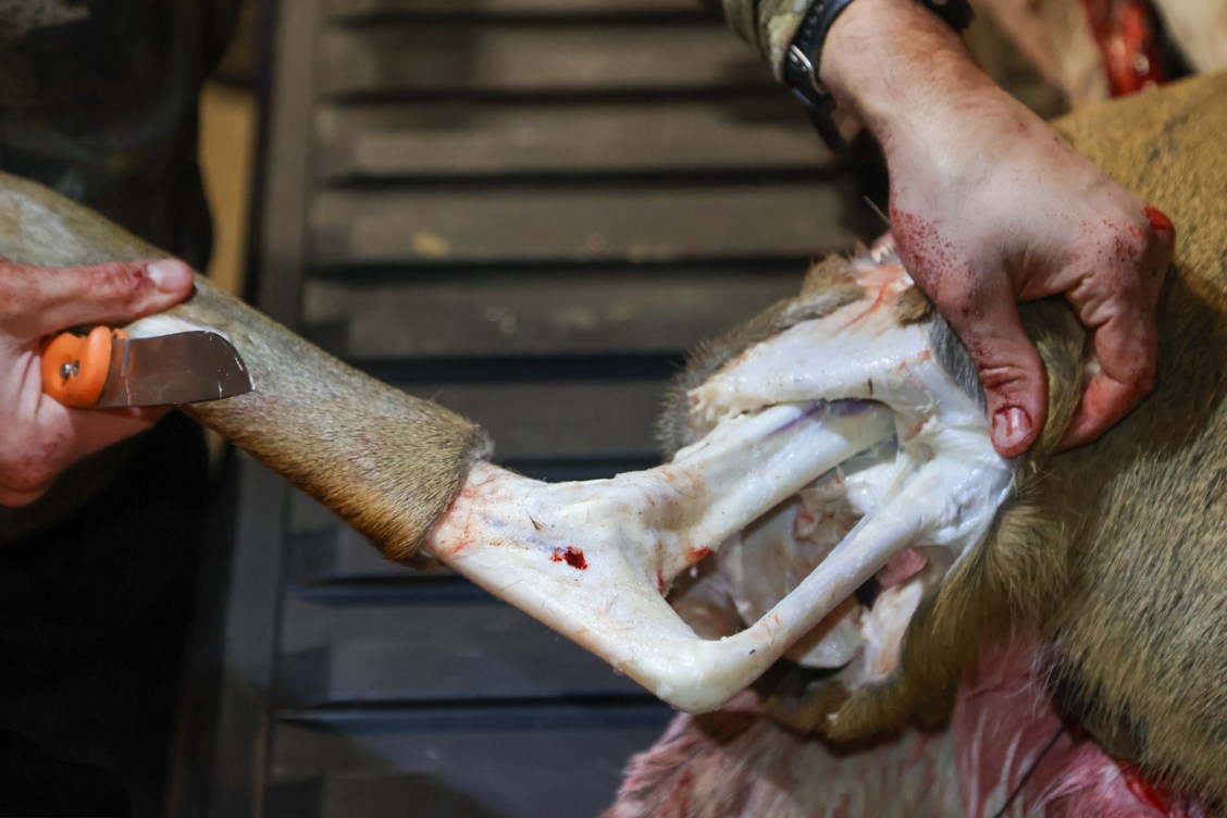 How to Skin a Deer | Outdoor Life