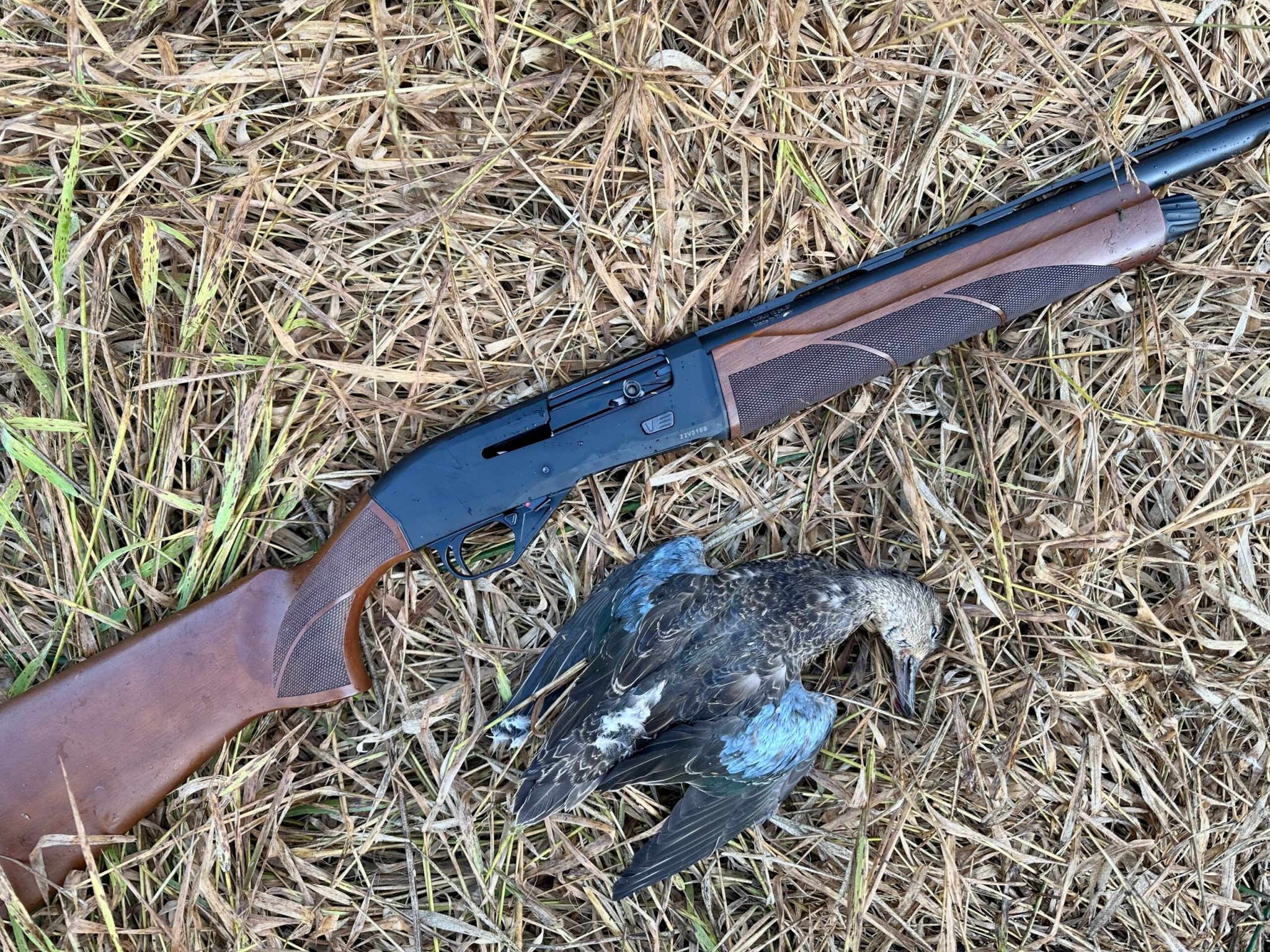 Best Semi Auto Shotguns of 2025 | Outdoor Life