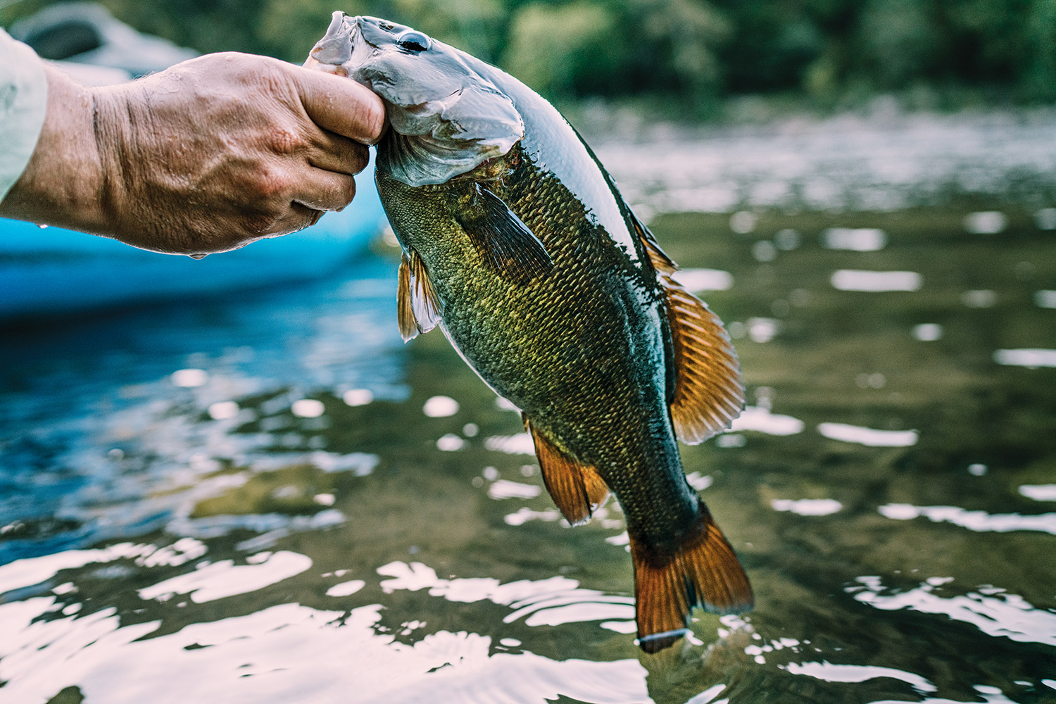 Hell or High Water: Chasing Smallmouth Bass on the New River | Outdoor Life