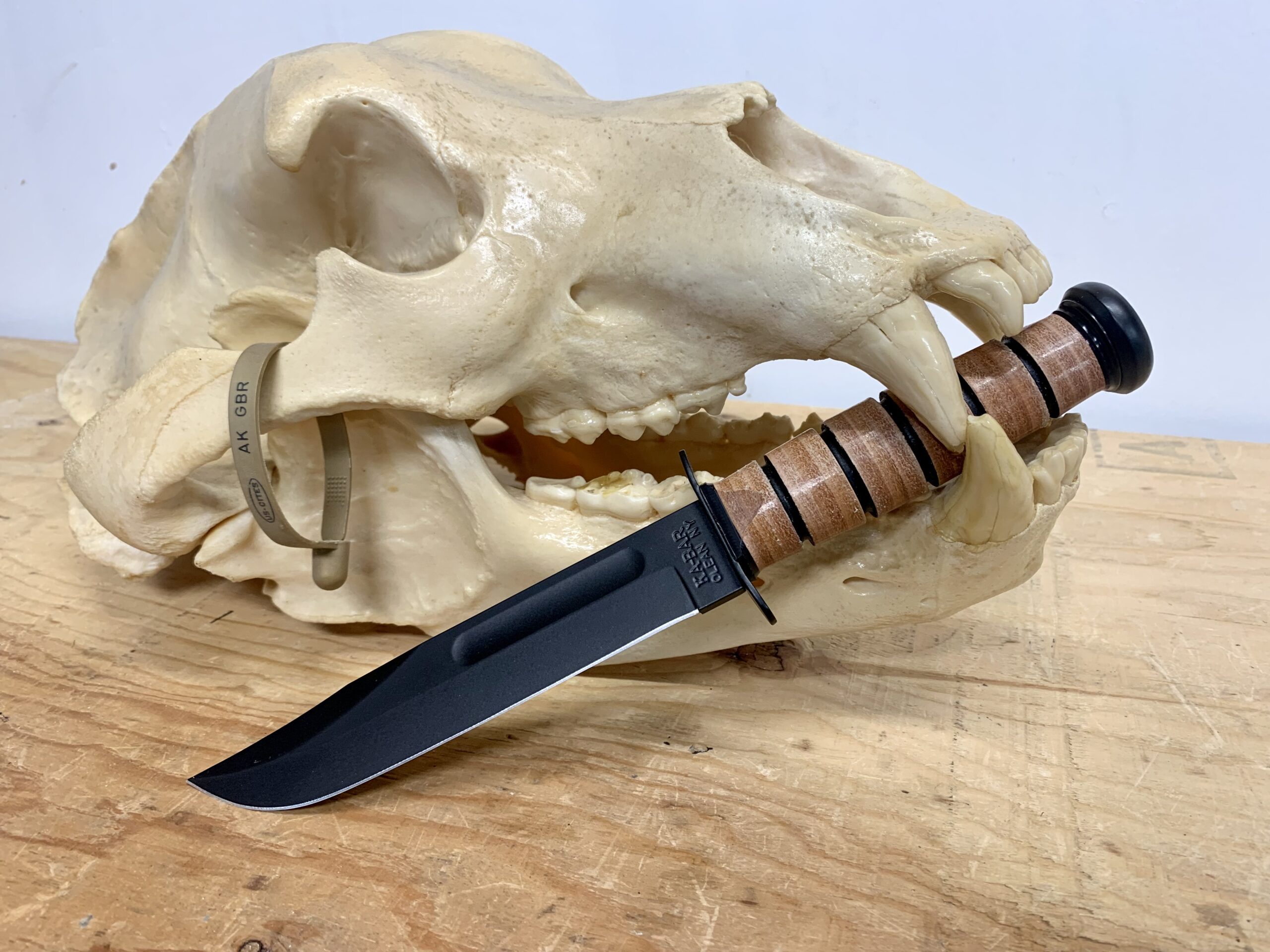 The Ka-Bar Is America's Most Famous Fighting Knife | Outdoor Life
