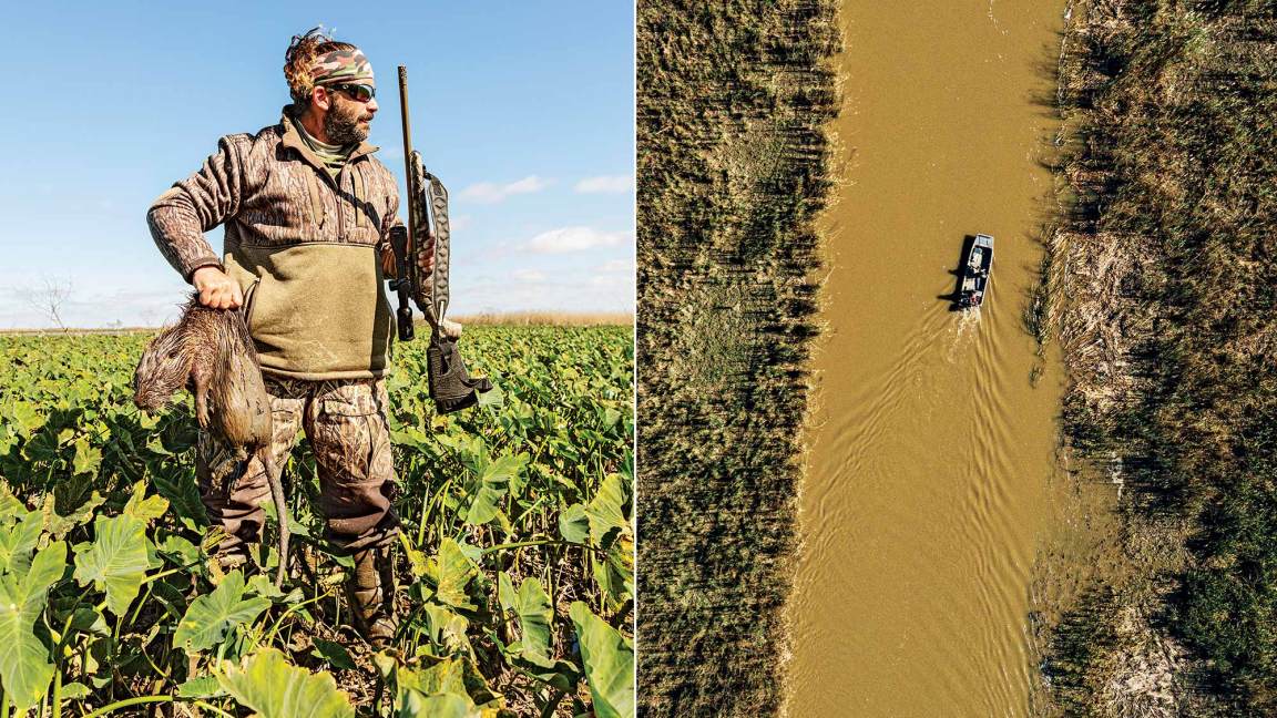 I Learned to Hunt (and Cook) Louisiana's Invasive Swamp Rats Like a ...