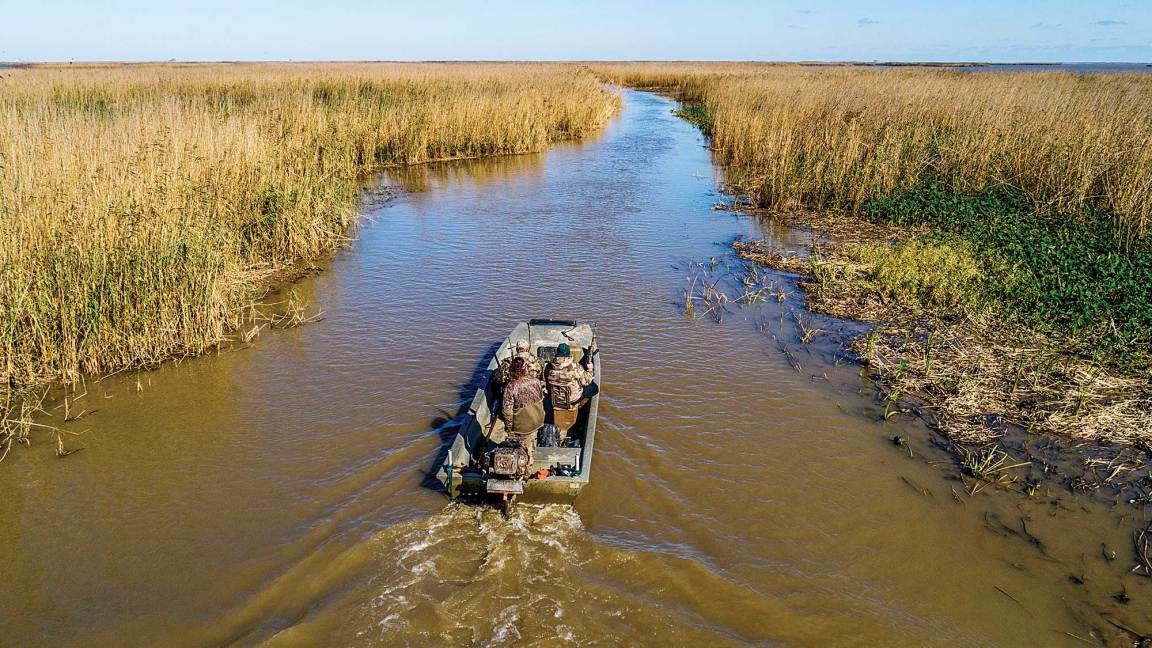 I Learned to Hunt (and Cook) Louisiana's Invasive Swamp Rats Like a ...