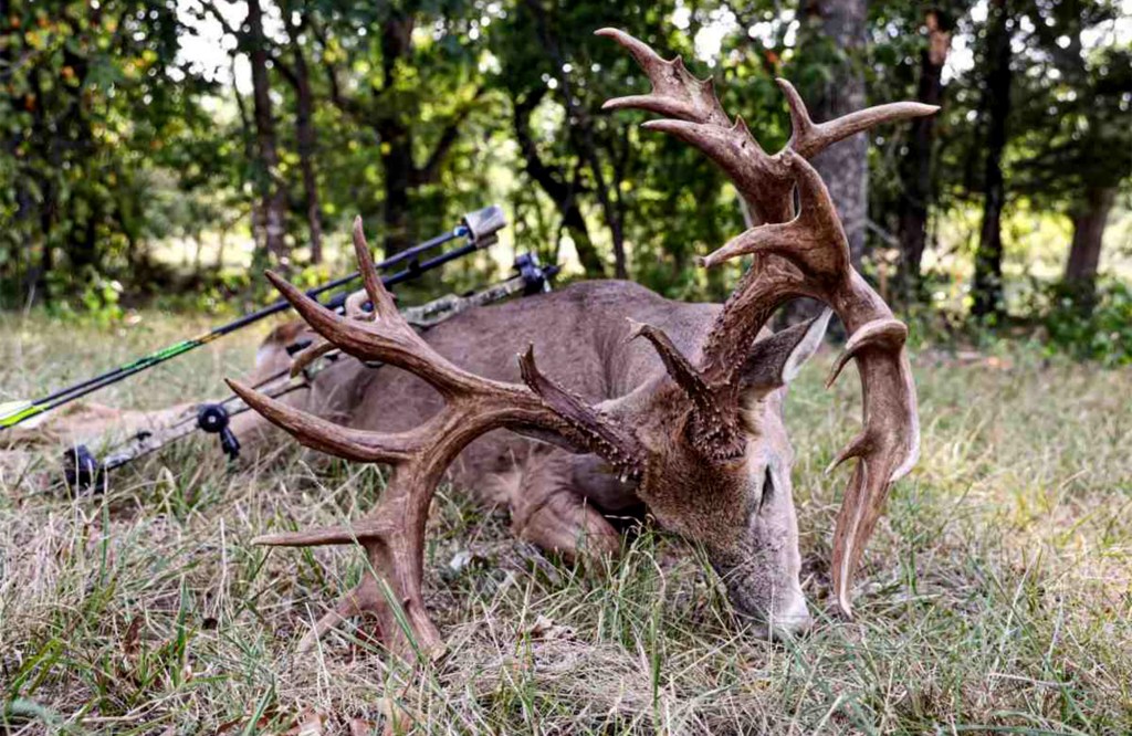 Bowhunter Tags a 230-Inch Buck on Opening Day | Outdoor Life