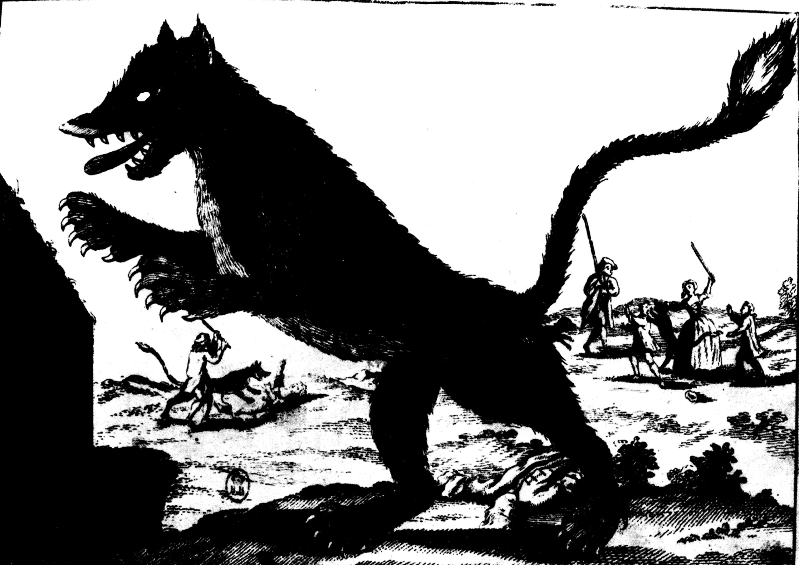 The Beast Of Gevaudan Story