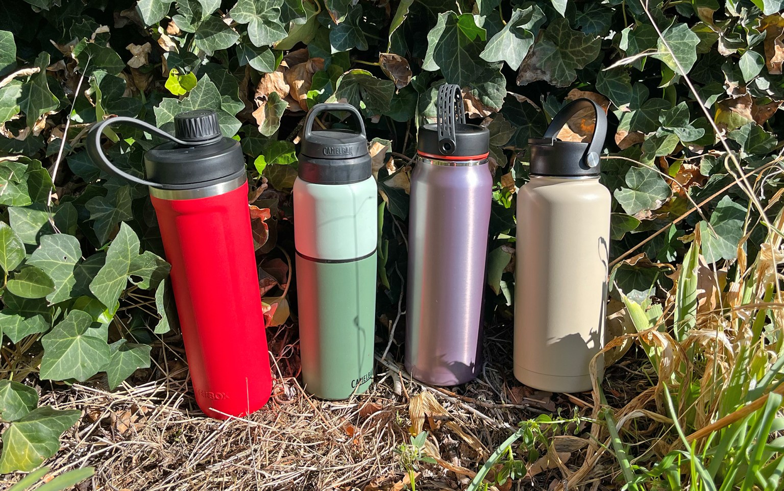 Best Insulated Water Bottles of 2025 | Outdoor Life