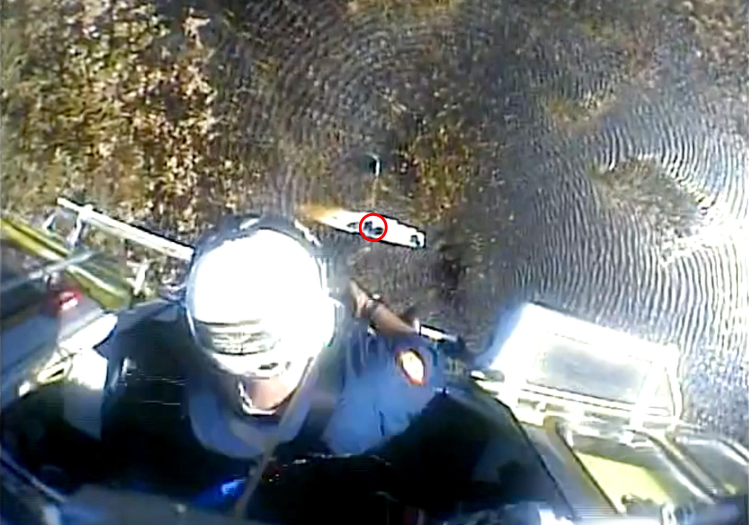 Charter Captain Rescues Anglers Who Literally Crashed His Fishing Spot