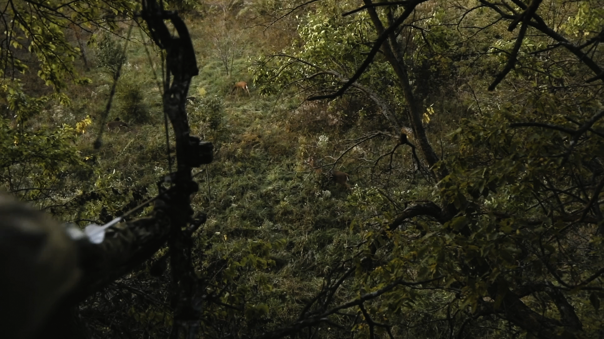 Big Game Hunting Opportunities Abound | Outdoor Life