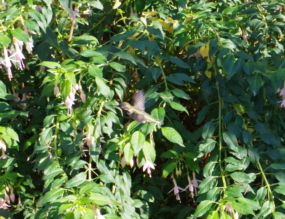 The Best Cameras for Hiking, Tested and Reviewed | Outdoor Life