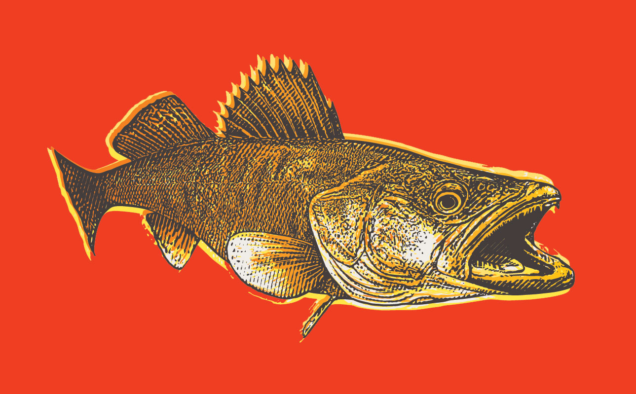 Walleye Anglers Get Jail Time for Cheating in Tournament | Outdoor Life