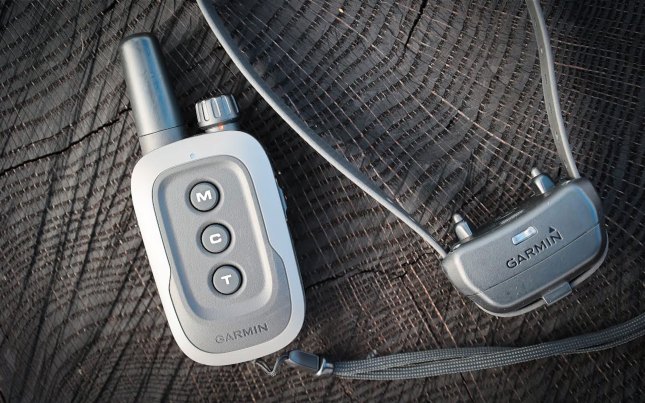 The Best Dog Training Collars, Tested and Reviewed | Outdoor Life