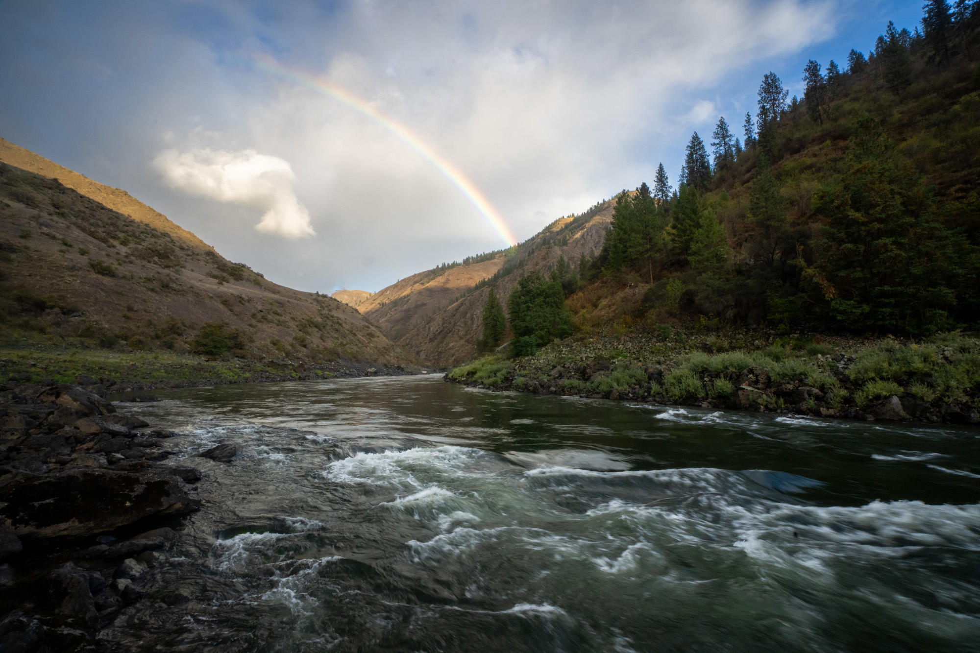 It's Time to Free the Lower Snake and Save Idaho's Wild Salmon ...