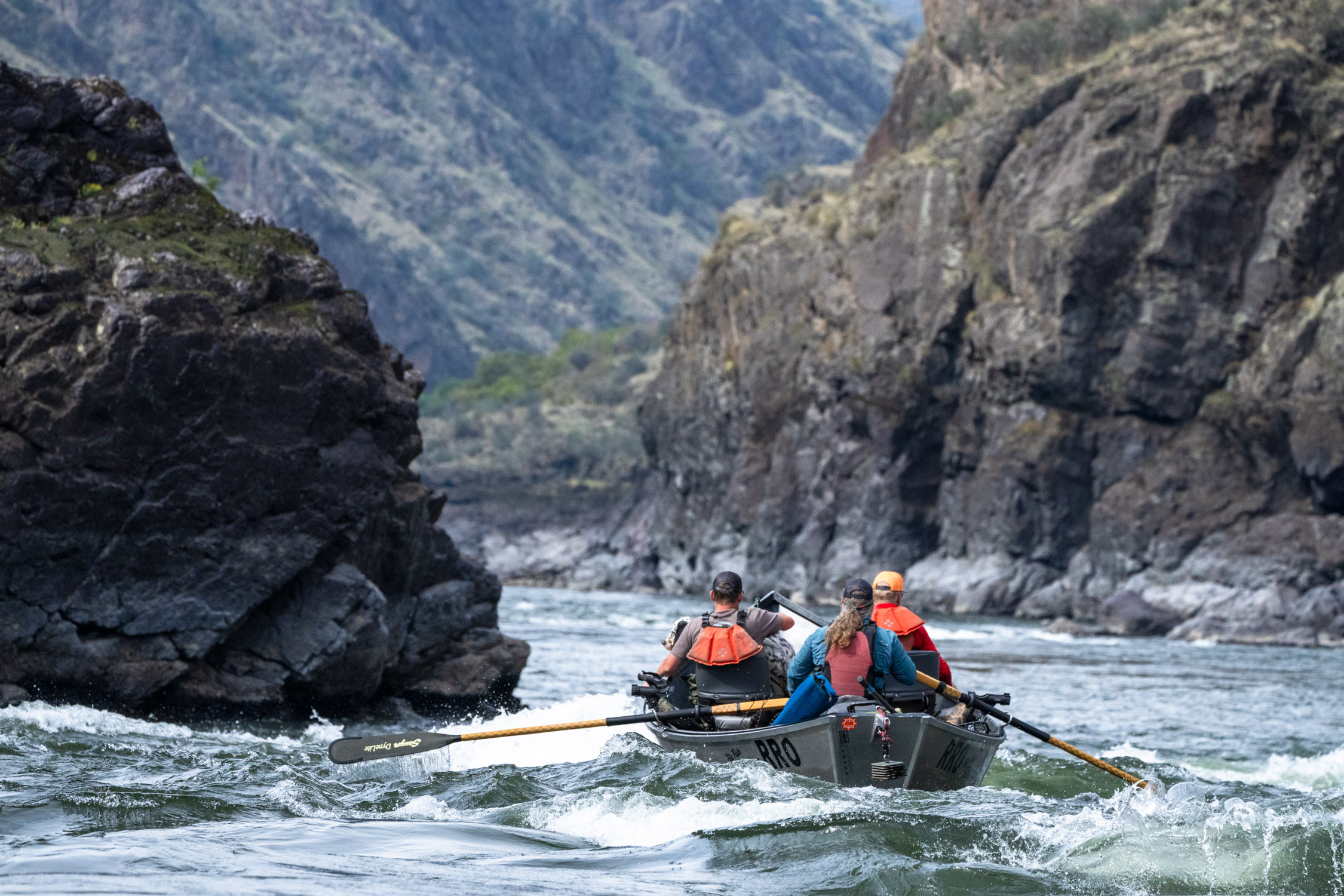 It's Time to Free the Lower Snake and Save Idaho's Wild Salmon ...